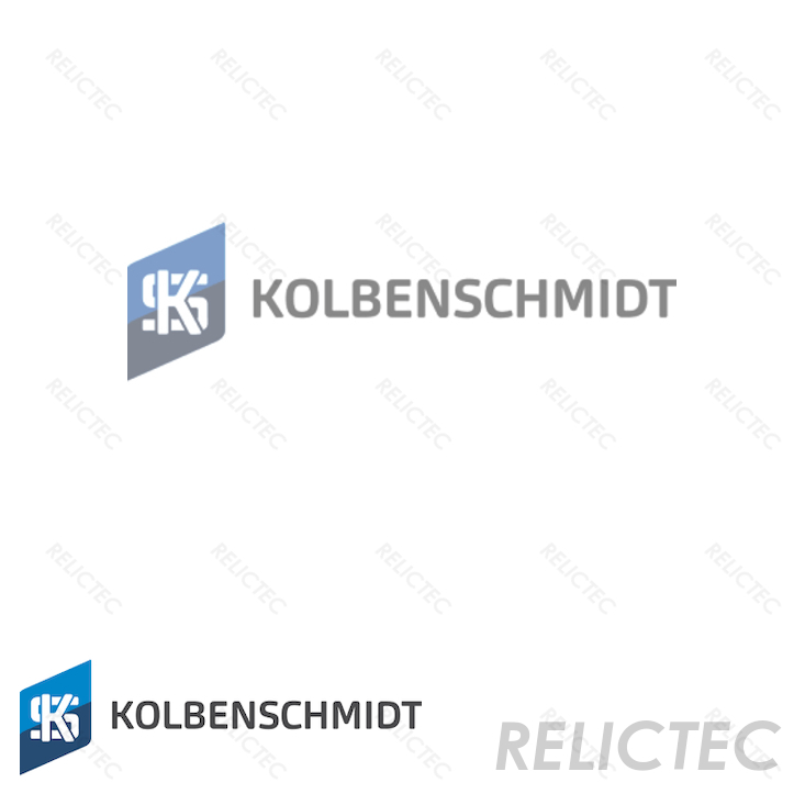 ConRod BigEnd Bearings for Volvo Renault 276134 4028977515767 | eBay